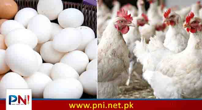برائلر اور فارمی انڈے کھانے والوں کیلئے بُری خبر